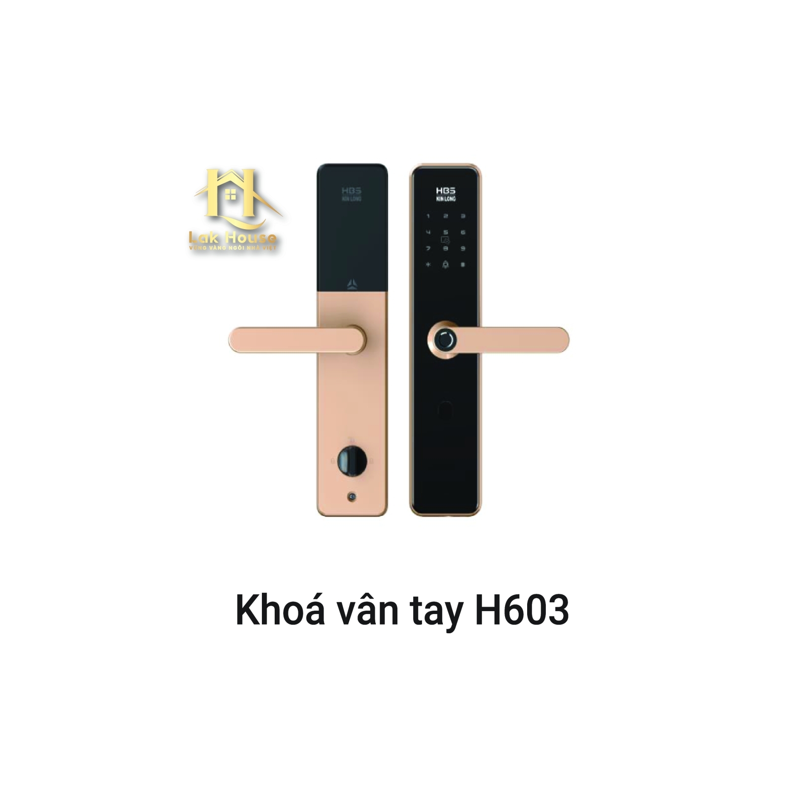 Khóa vân tay H603